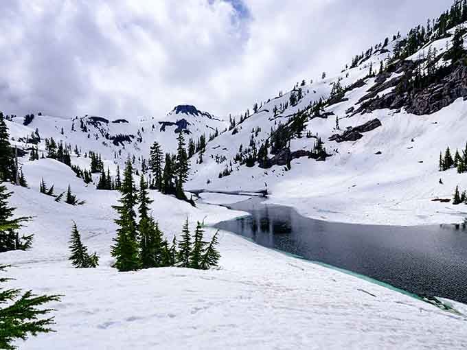 Winter turns Bagley Lakes into a snow globe scene that makes you forget every complaint you've ever had.