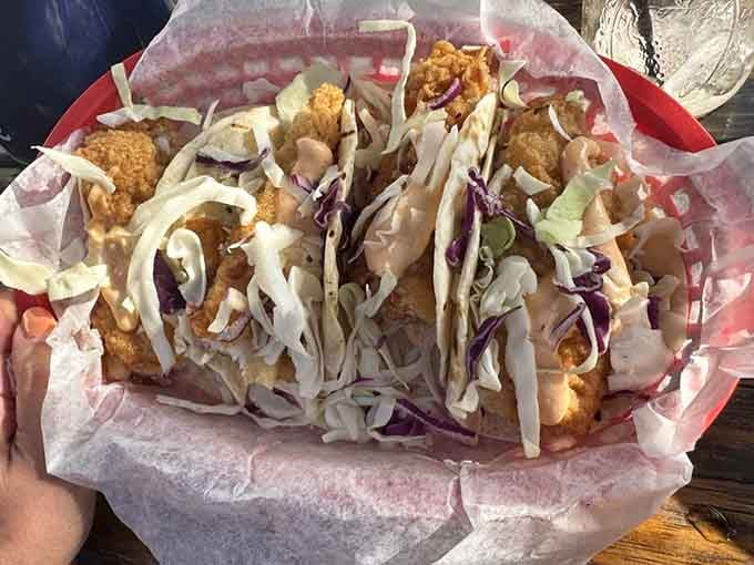 Crispy fish tacos piled high with cabbage and sauce, proof that good things come in threes.