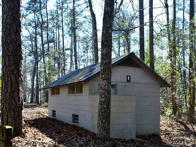 Even the restroom facilities get their own cathedral of pines. Barnwell State Park does not cut corners, people.