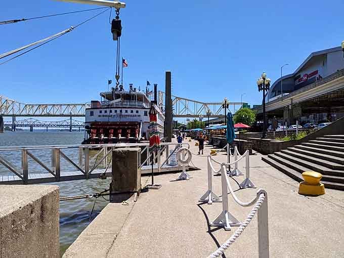 She sits at the dock looking patient and magnificent, like she knows exactly how good she is.