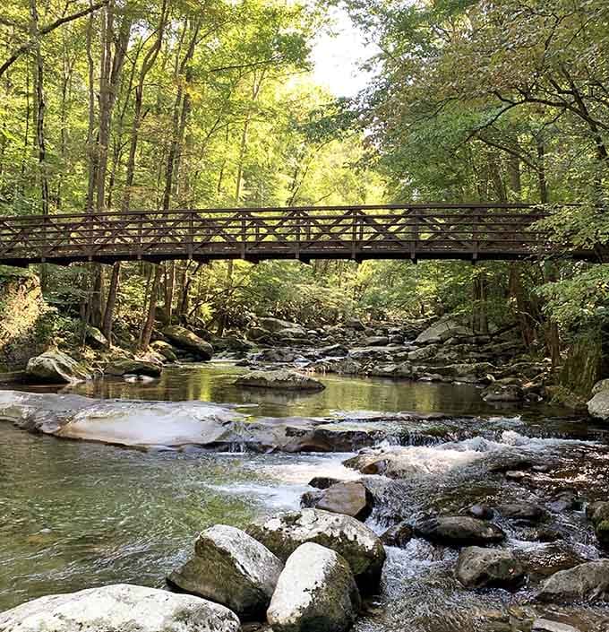 A wooden bridge over a mountain stream is nature's way of saying you made the right turn.