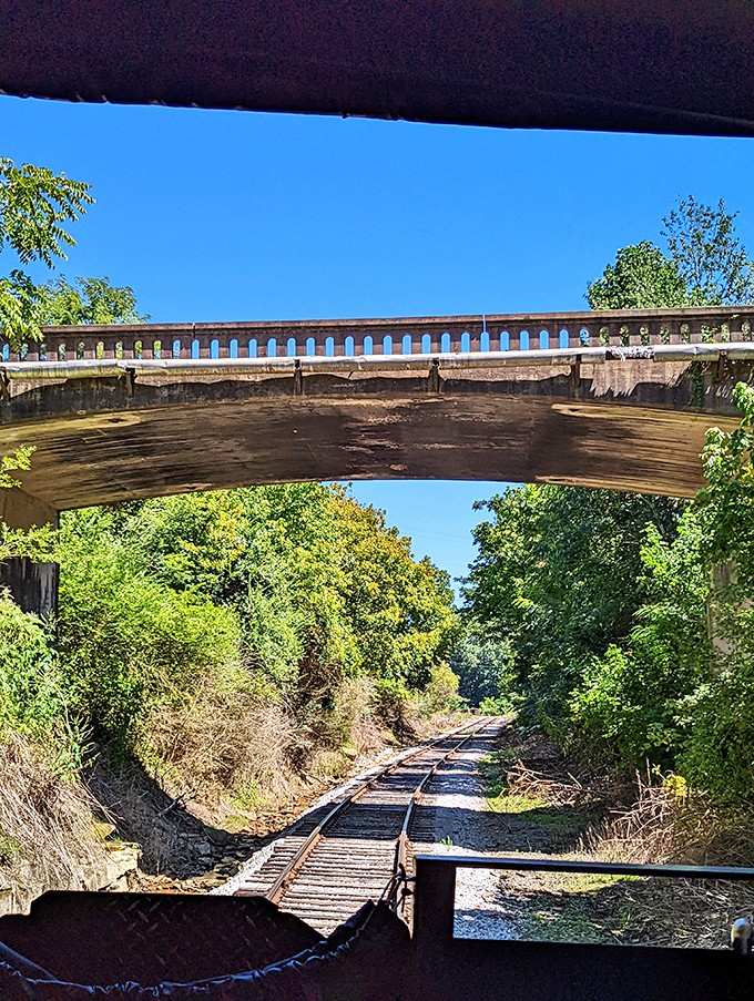 Ducking under a bridge mid-ride is the kind of unexpected thrill that makes you feel like a kid again.