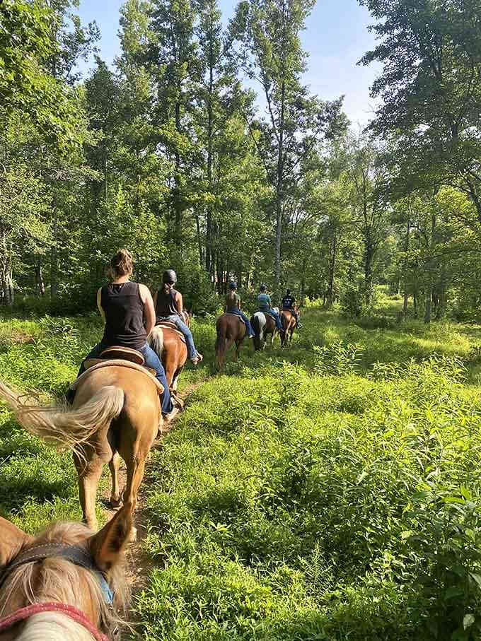 Summer green so thick and lush it feels like riding straight into a nature documentary.