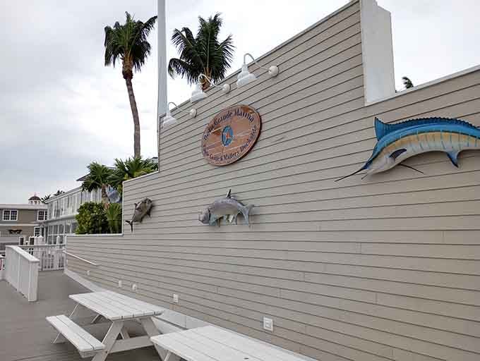 Waterfront dining where the boats are as much part of the scenery as the food on your plate.