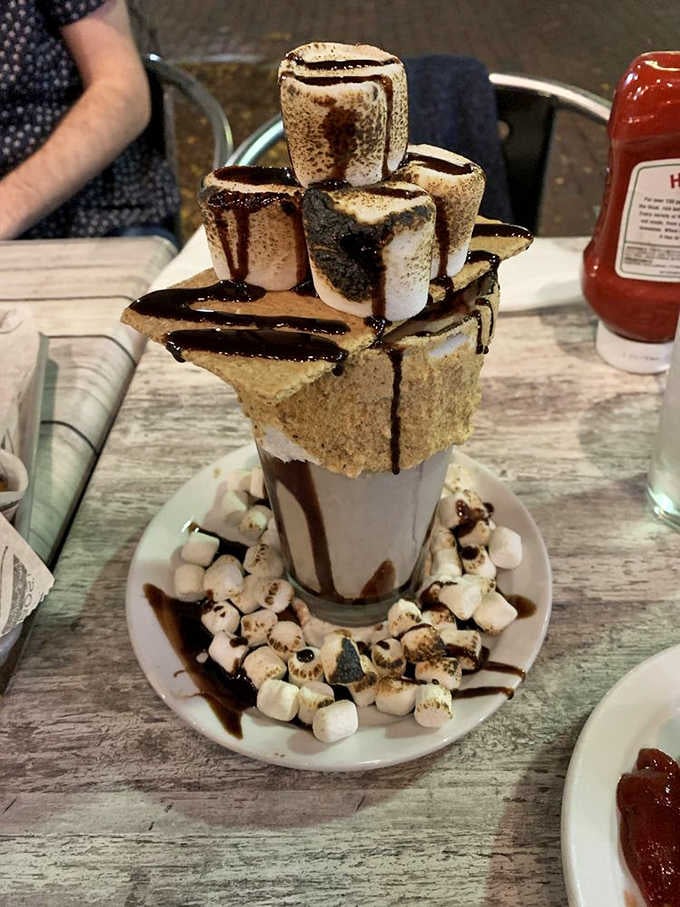 Graham crackers, toasted marshmallows, and chocolate drizzle stacked so high it needs its own zip code.