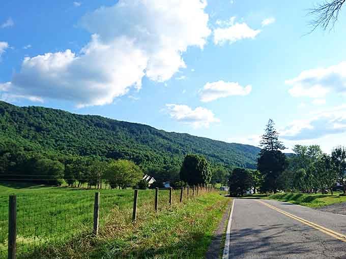 Sometimes the best journeys are the ones where the road itself becomes part of the destination you're seeking.