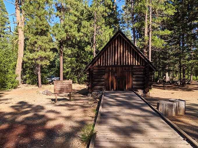 A historic log cabin tucked among the pines, a quiet reminder that this park has stories worth knowing.