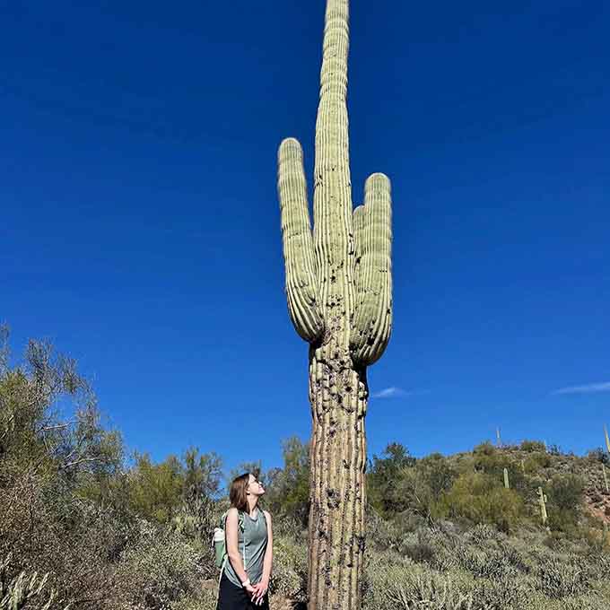 Standing next to a towering saguaro really puts your gym progress into proper humbling perspective.