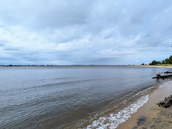 Cloudy light at Cattus Island hits different when you’re not dodging beach umbrellas and coolers every few feet along the shore.