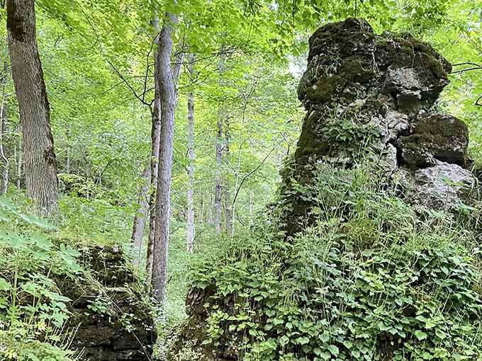 Ancient rocks standing guard like nature's own security system, protecting secrets from when Indiana was actually beachfront property.