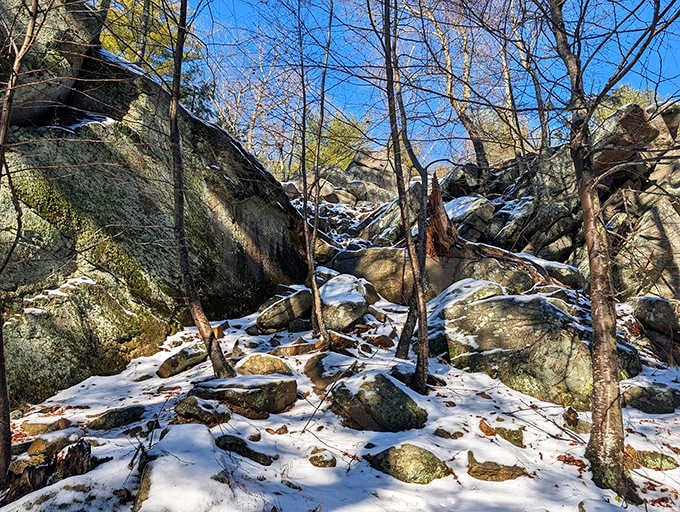 Even buried in snow, Charley's Loop Trail looks like a scene straight out of Narnia.