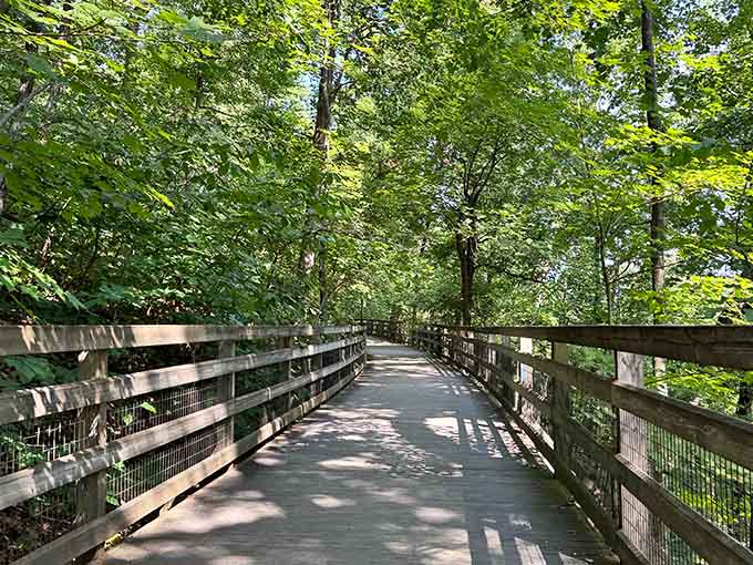 The Saunders-Monticello Trail winds through a canopy of green so lush and peaceful, your stress doesn't stand a chance out here.