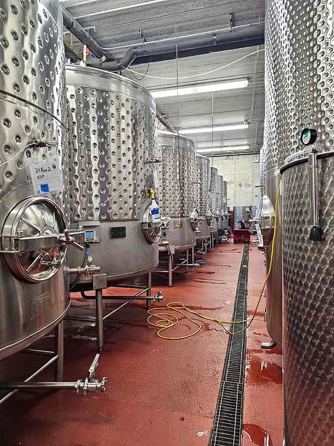 Behind every great glass of wine is a room full of stainless steel tanks doing very serious, very important work.