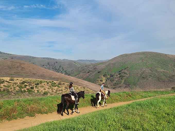 Horseback riding through rolling hills so beautiful, the horses look like they know exactly how lucky they are.