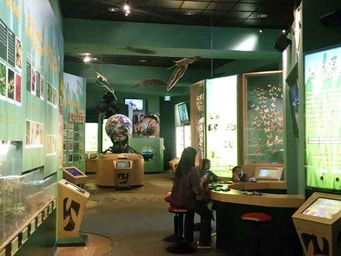 The Brown Hall of Entomology proves that bugs can be beautiful when properly displayed and safely behind glass, thankfully.