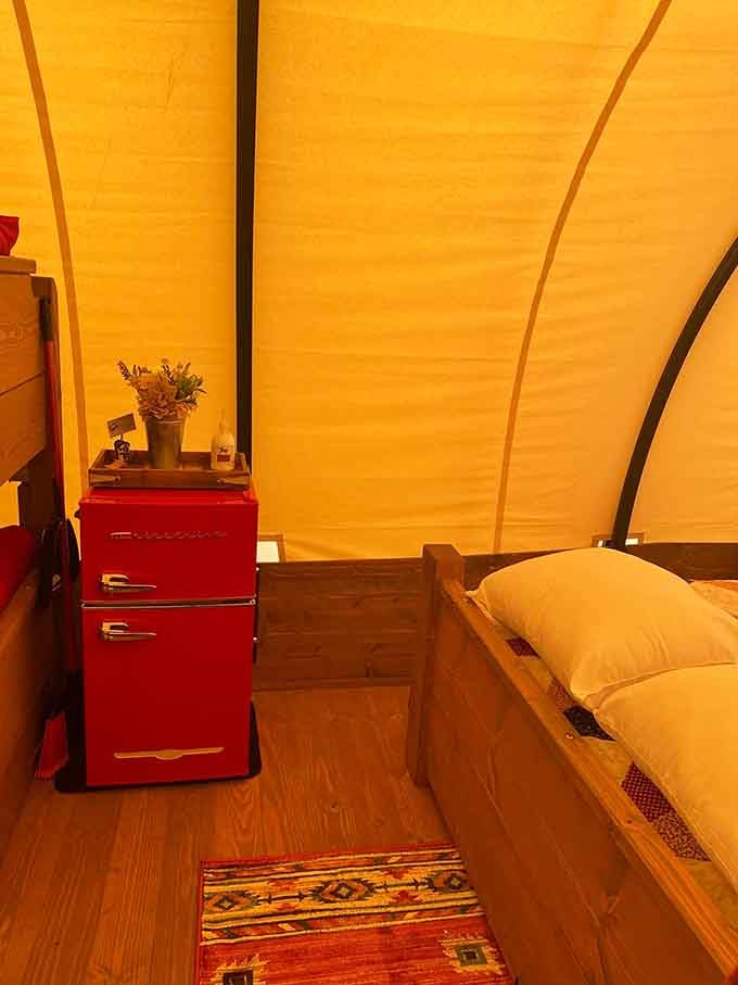 That cheerful red mini fridge is doing a lot of heavy lifting for frontier authenticity. Nobody minds.