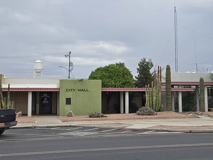 City Hall with a saguaro out front is the most Arizona thing you'll see today. Democracy, desert-style, right here.