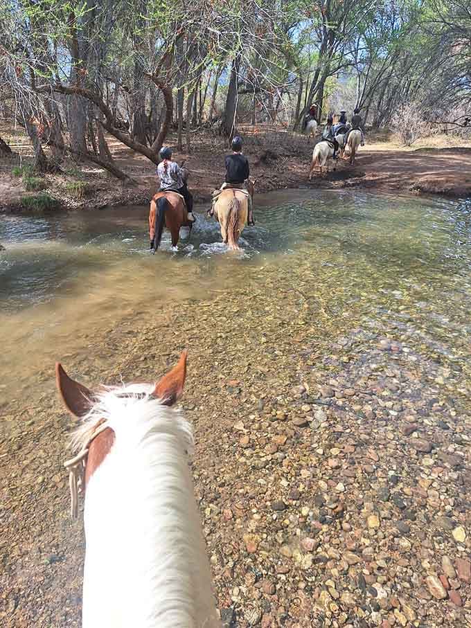 Trail rides through the Verde River let you see Arizona the way it was meant to be experienced.