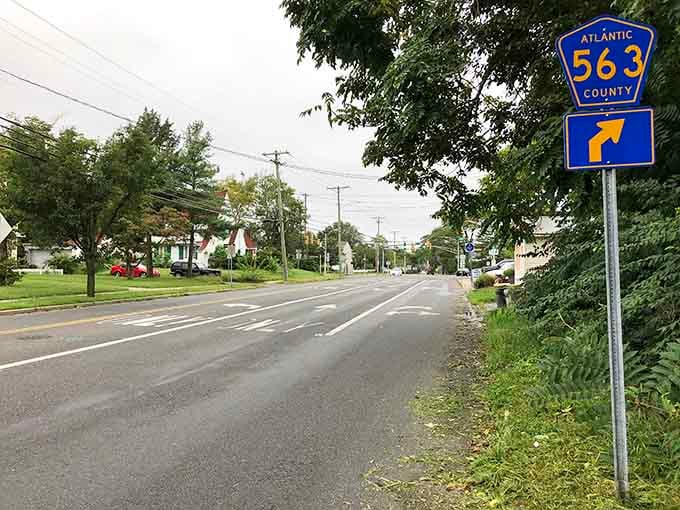 Tree-lined neighborhoods where the road gently winds, proving not all Jersey streets need to be perfectly straight.