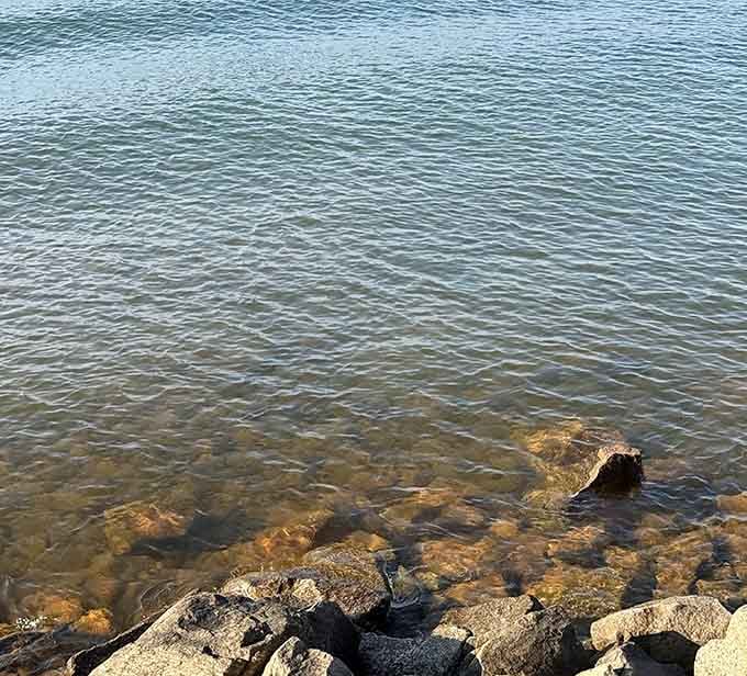 Water so clear you can see straight to the bottom, no mystery about what's down there.