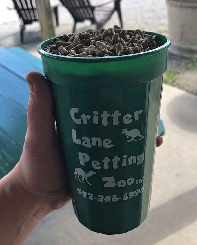 This green cup of pellets is basically a golden ticket, and every animal on the property already knows it.
