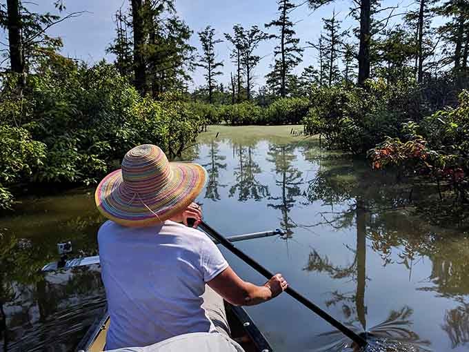 Paddling through flooded forests: it's the closest you'll get to time travel without a DeLorean or flux capacitor.