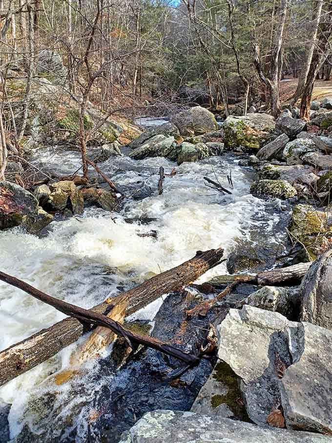 When the water's running strong, this little waterfall means serious business. Mother Nature doesn't mess around.