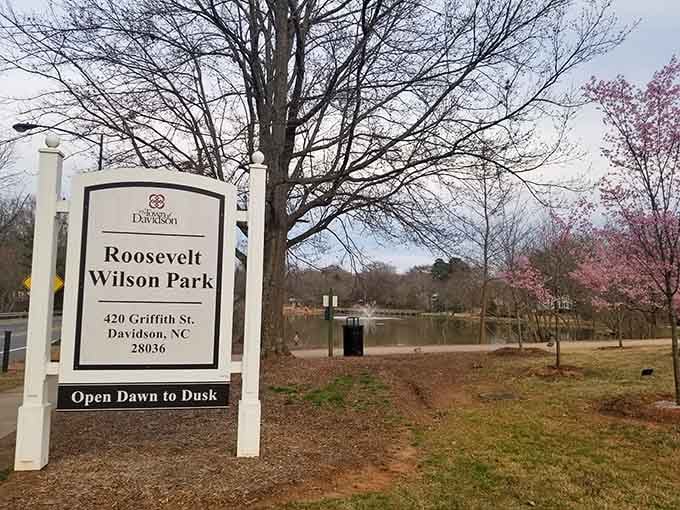 Cherry blossoms framing the Roosevelt Wilson Park sign and a glittering fountain beyond make this spot feel like spring's personal announcement.