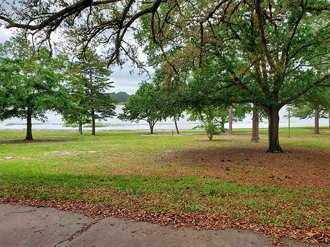 Tall oaks, soft grass, and a perfectly round lake peeking through the trees. Chipley Park earns its peaceful reputation every single day.