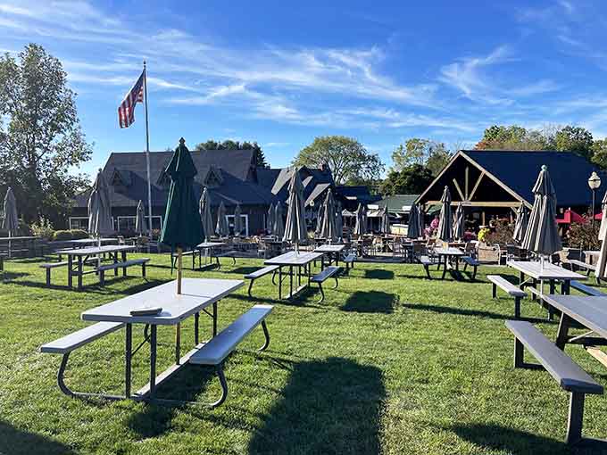 Picnic tables on the lawn, blue skies above. This is what a good Saturday looks like.