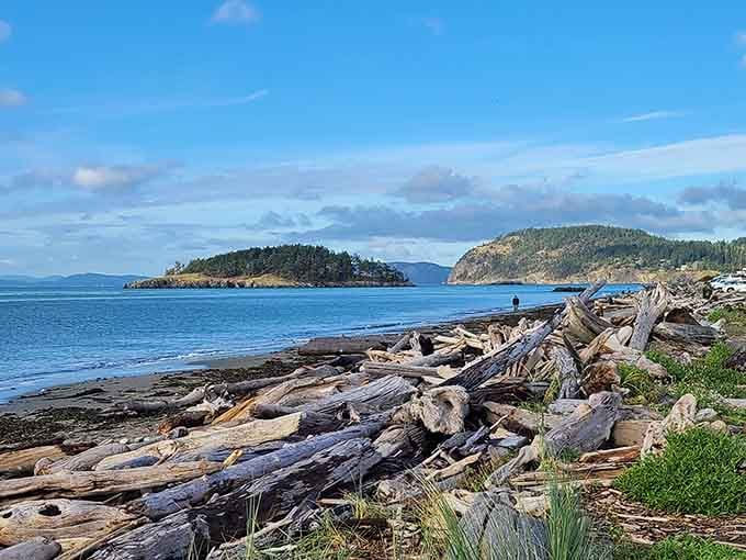 Miles of driftwood stacked like nature's own art installation, with island views as the backdrop.