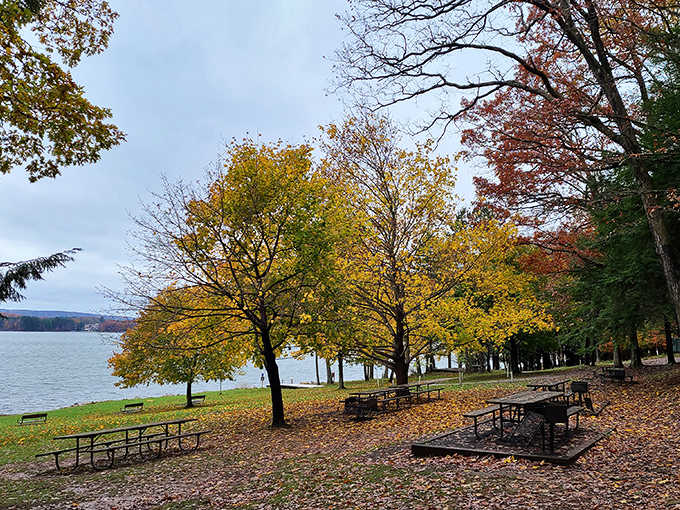Picnic tables under golden trees with a lake view. This is what a good afternoon actually looks like.