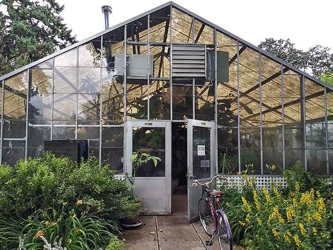 The working greenhouse on the grounds proves that Deepwood's green thumb runs deep and year-round.
