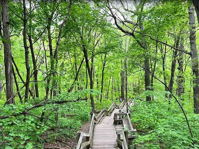 This wooden boardwalk staircase through the forest canopy is the trail's gentle way of saying, "Keep going."