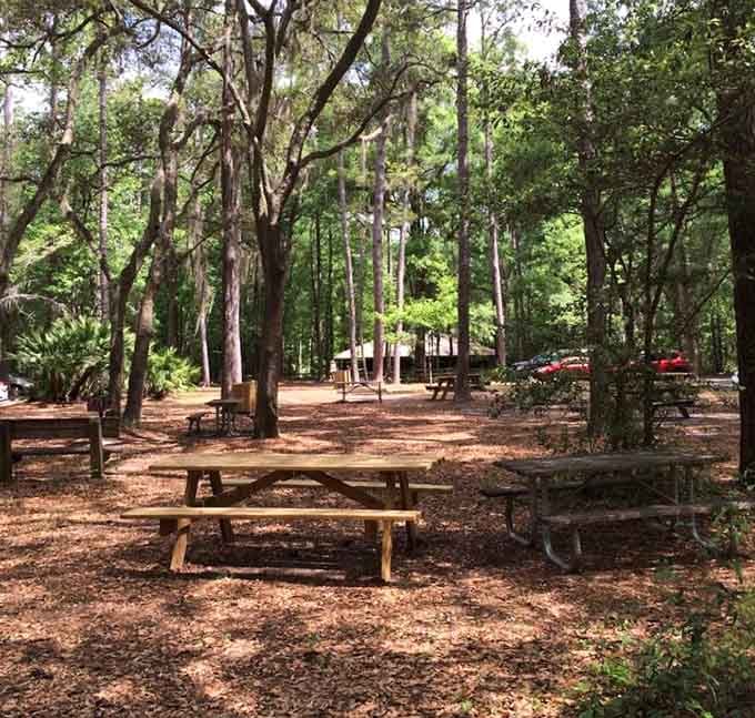 Shaded picnic tables scattered under Spanish moss make this park a perfect spot for a leisurely lunch.