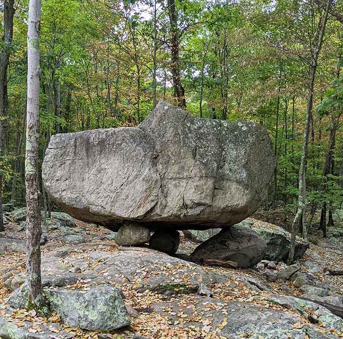This boulder didn't ask for your opinion, and honestly, it doesn't need it. Nature's architecture at its finest.