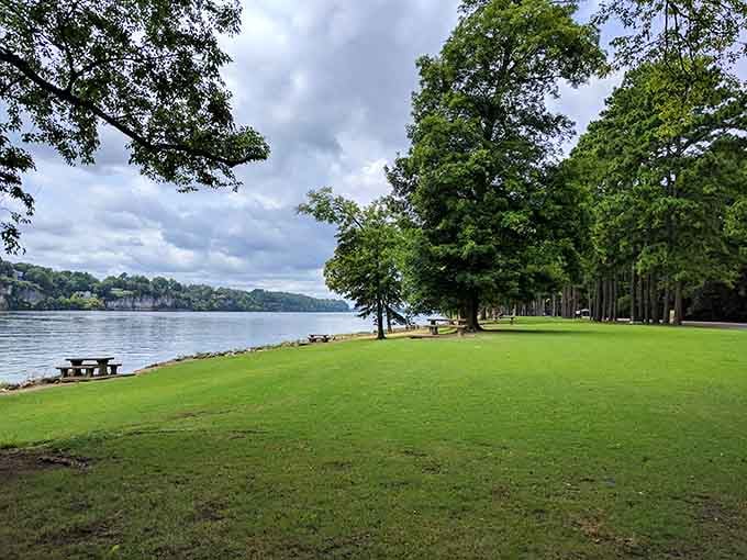 McFarland Park along the Tennessee River is the kind of view that makes you forget you ever had a to-do list.