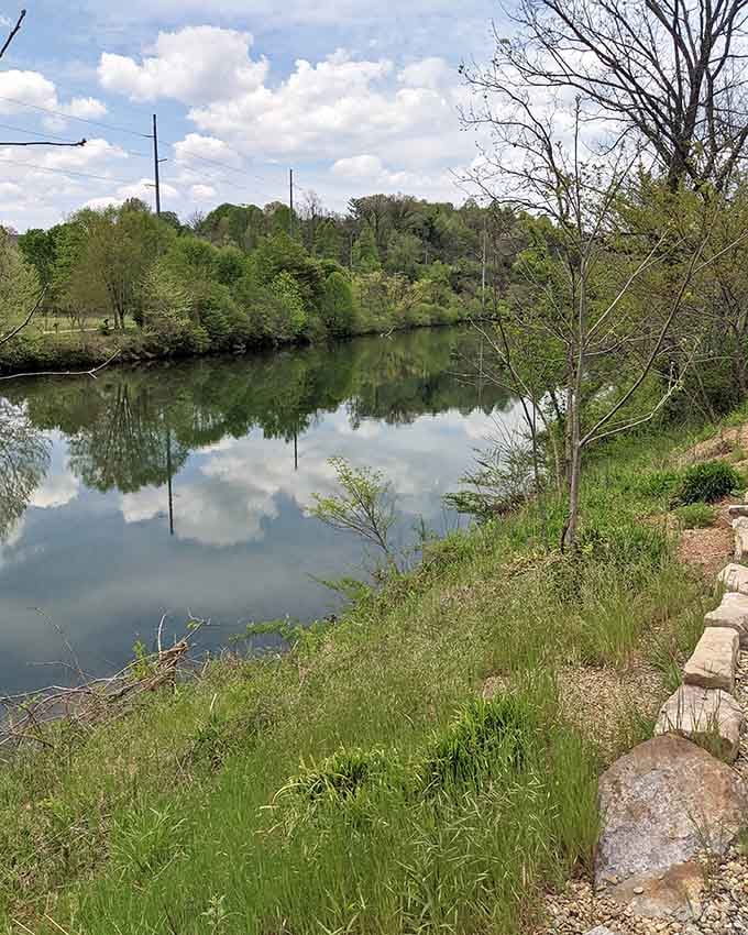 Spring along the riverbank in Franklin, where the water mirrors the sky and everything feels quietly alive.