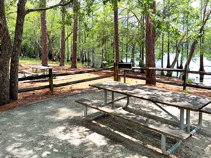 A picnic table with a millpond view is nature's version of a corner booth at a great restaurant.