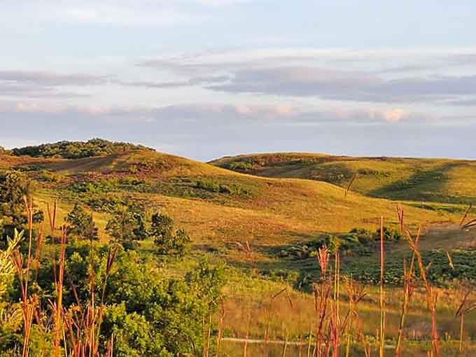 Golden hour transforms these hills into something Tolkien might have dreamed up for his hobbits' countryside adventures.