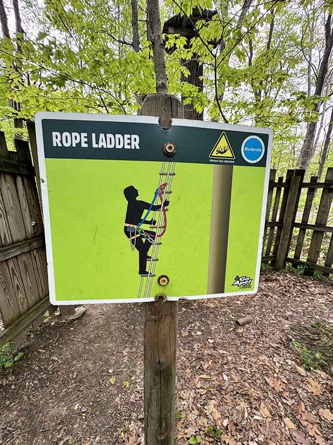 The Rope Ladder sign rates this one moderate, which is park language for "your arms will remember tomorrow."