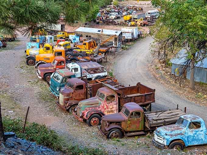This rainbow of rusted trucks looks like a vintage car show that forgot to go home.