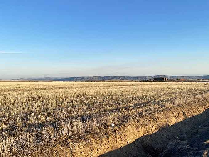 Miles of golden scrubland surround this place, reminding you that nature has always been the best set designer.