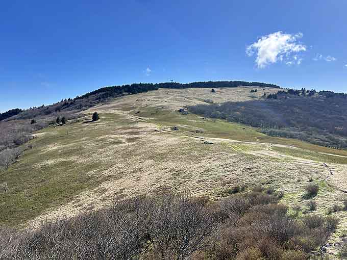 Rolling balds that prove Virginia can do dramatic landscapes without needing a passport or international flight.