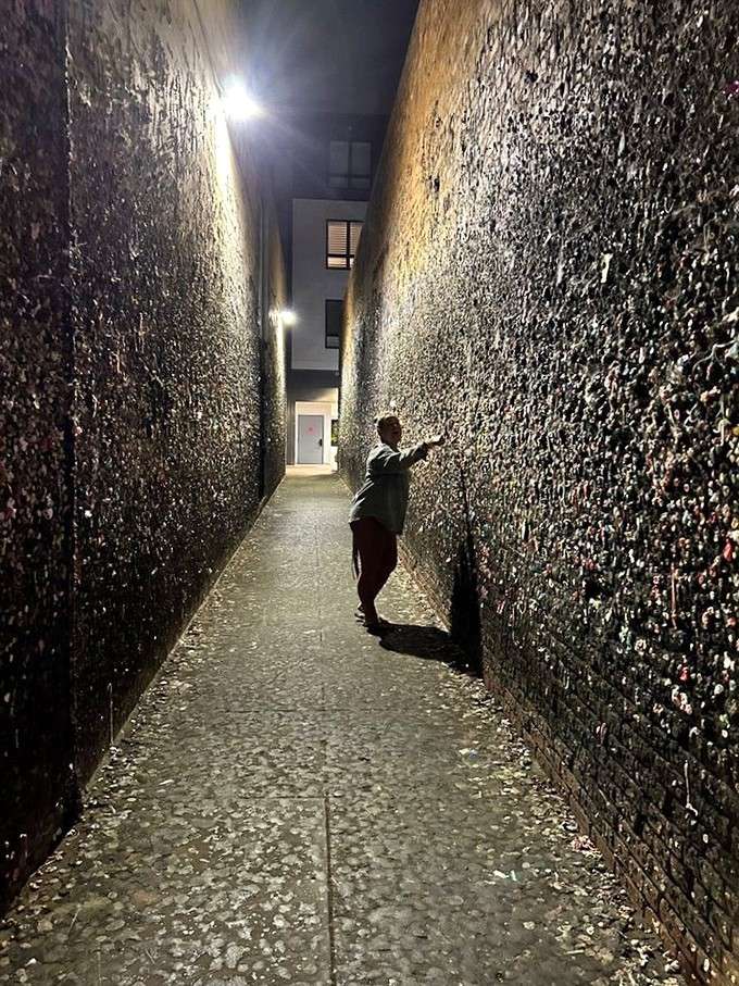 After dark, Gum Alley takes on a whole new mood, glowing under the alley lights like a scene from a quirky indie film.