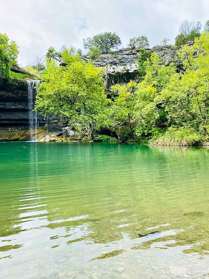 Spring greenery exploding around the collapsed dome, because Mother Nature never does anything halfway in Texas.