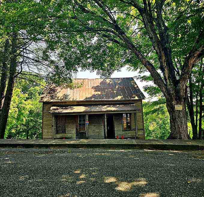 Dappled light and peeling paint, this little building has more character than most people do.