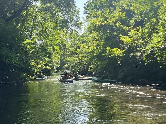 Tree-lined waterways offer the kind of peaceful escape that makes you forget your phone exists for a while.