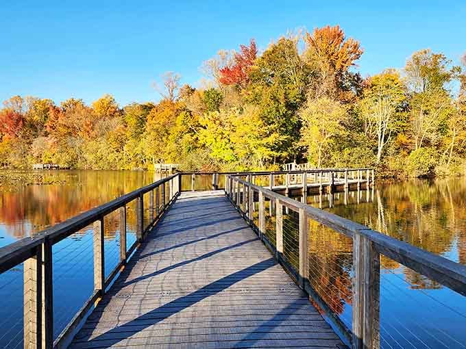 A wooden boardwalk stretching over still water surrounded by autumn color. Nature really outdid itself here, and it knows it.