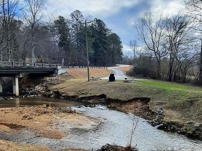 Winter strips the trees bare and gives you views of the creek and bridge that summer simply won't share.